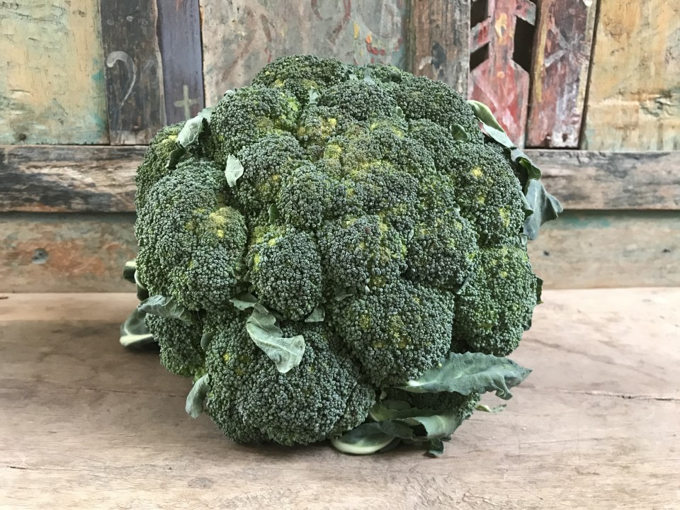 Plants Heal - Fruits and Vegetables - Meet the Crucifers